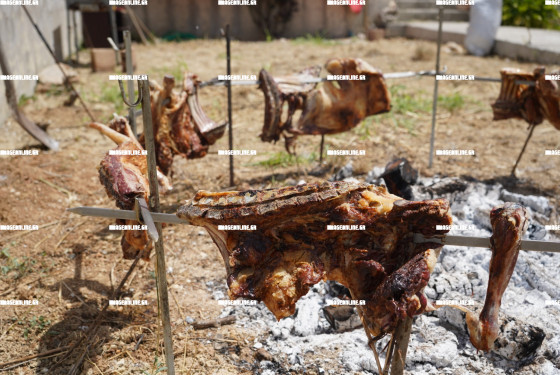 Προβολή Ρεπορτάζ - ImageOnline
