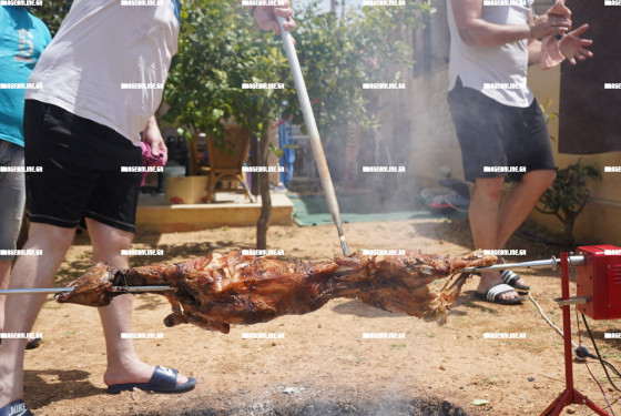 Προβολή Ρεπορτάζ - ImageOnline