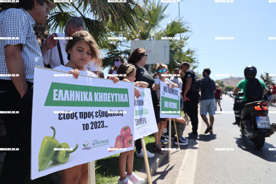 Προβολή Ρεπορτάζ - ImageOnline