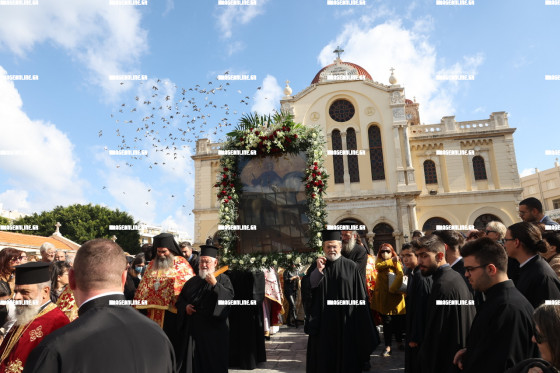 Προβολή Ρεπορτάζ - ImageOnline