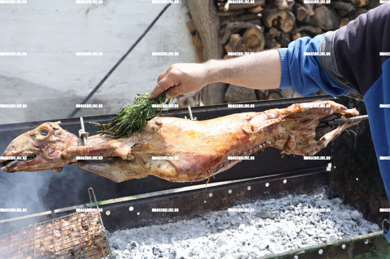 Προβολή Ρεπορτάζ - ImageOnline